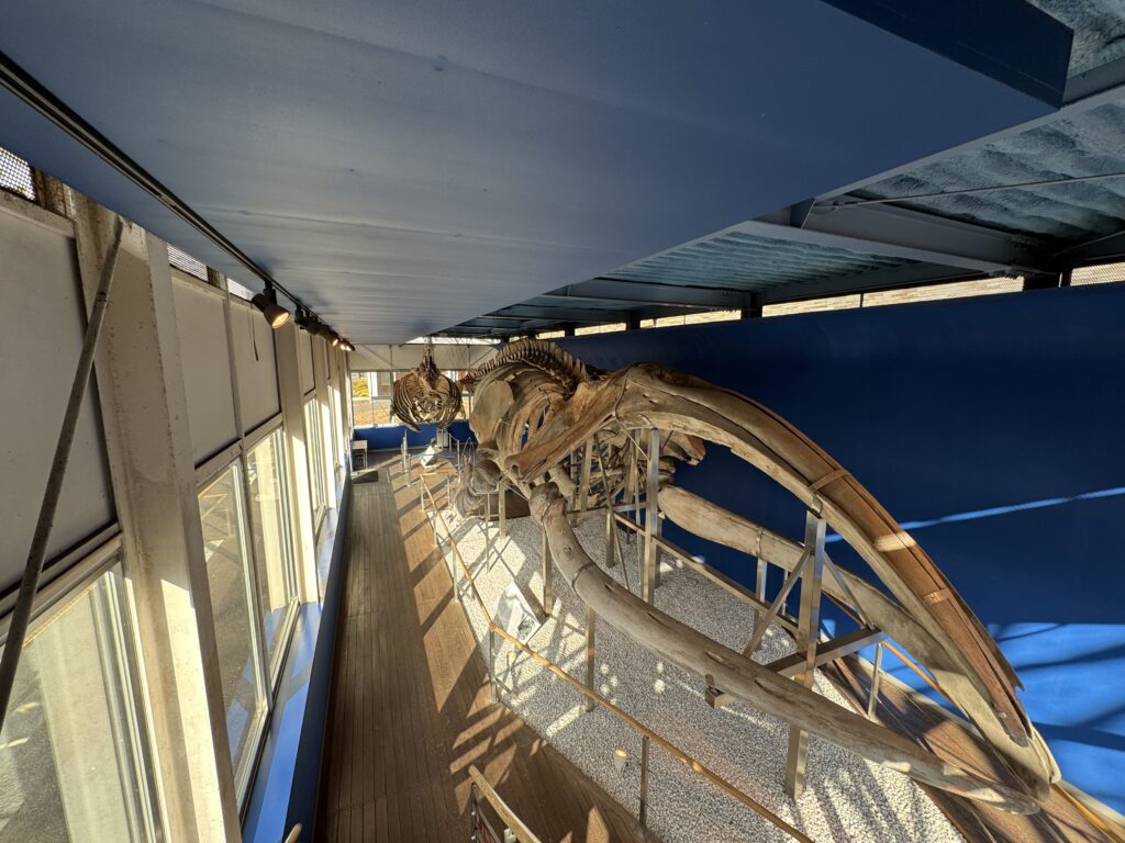 The Charm and Enjoyment of the Urban Marine Science Museum where you ...